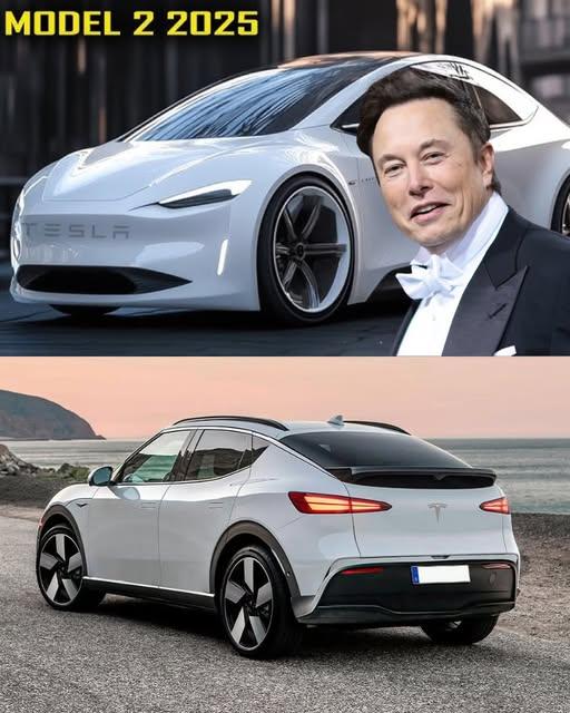 2025 Tesla Mannequin 2: Elon Musk Announces the End of Lithiumâ€”New ...