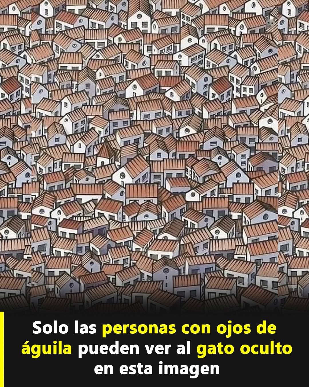 El reto visual que está volviendo locos a todos: ¿Podés encontrar al ...